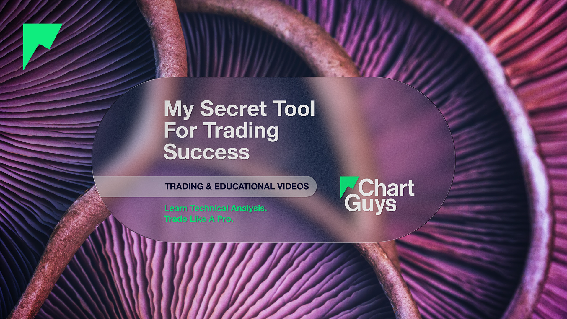 My Secret Tool For Trading Success | Chart Guys